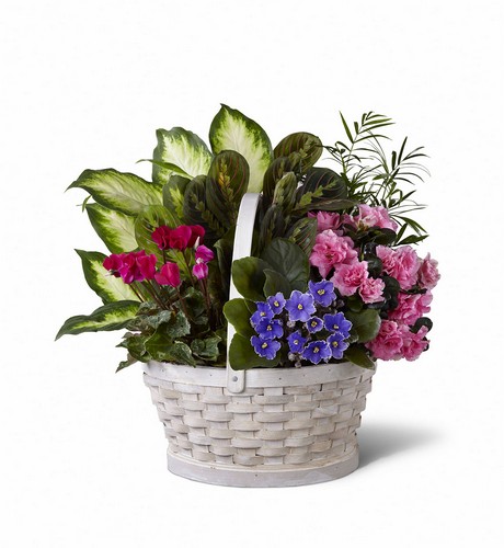 Monrovia Floral :: Florist in Monrovia, CA :: Fresh Flower Delivery in ...